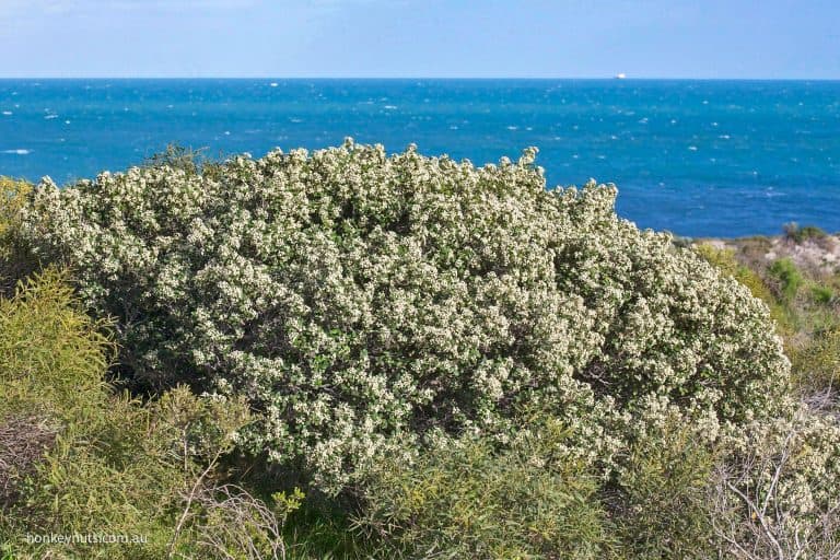 Bindjareb-Peel Geopark Geodrive Trail – Geoparks Australia